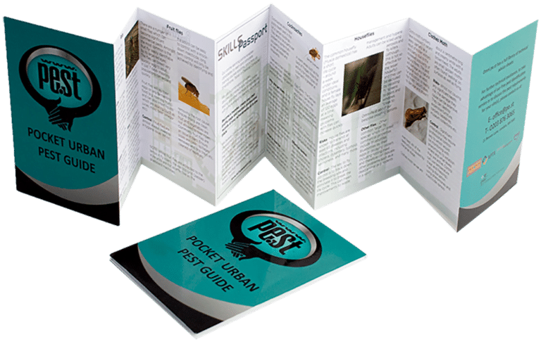 1 Row Z Folds - Z Fold Cards